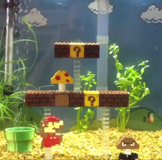 Super Mario Bros - Fish Tank - Nerd Crafting